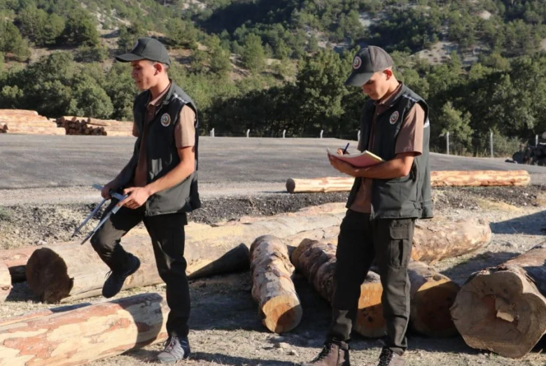 Orman Muhafaza Memuru Maaşı 2024: Güncel Maaş Bilgisi - Para Katla